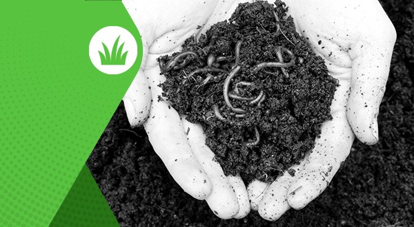 POOL360 | Shop All Soil Conditioners