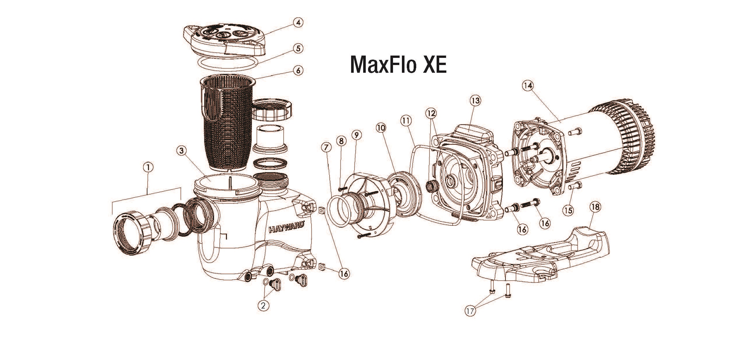 POOL360 | MaxFlo™ XE Pump 2.25THP