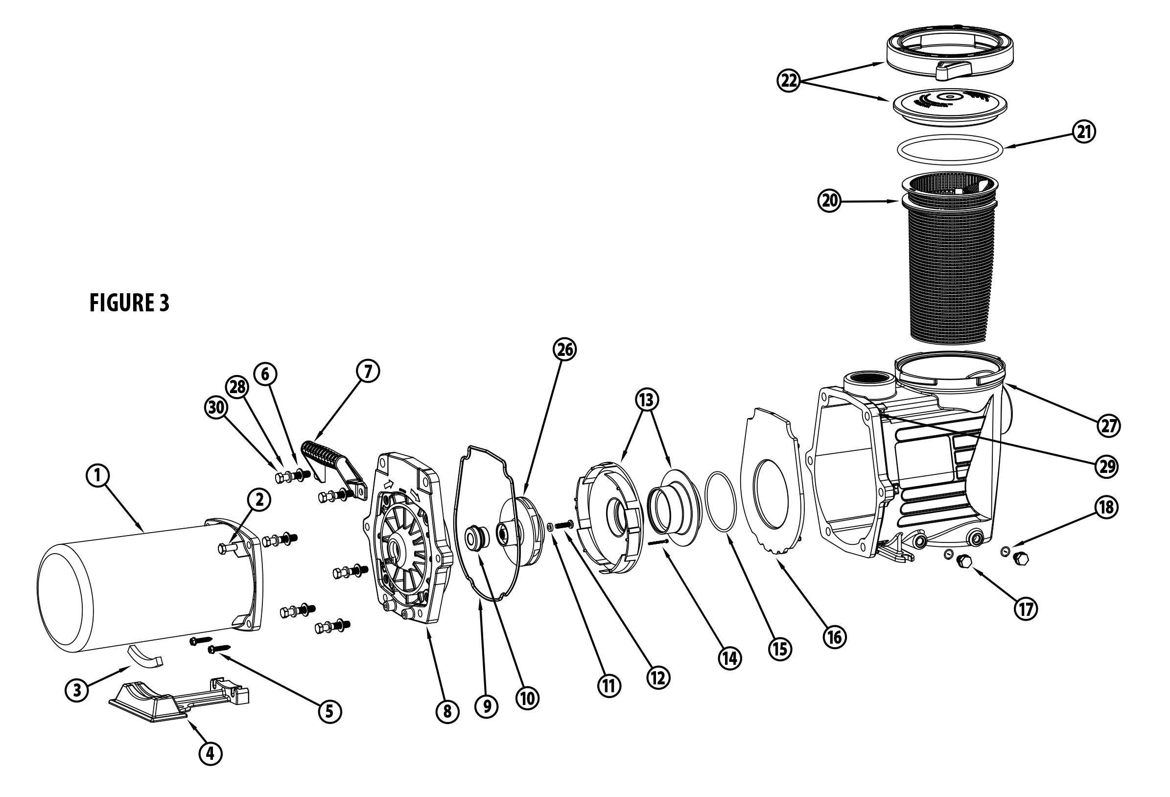 POOL360 | 1-Speed Pump 1 HP