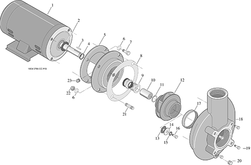 POOL360 | Sta-Rite® C Series Commercial Pump 5 HP 230V 21.5 Amp