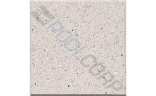 POOL360 | 12" x 12" Shellock® Paver Ivory