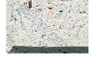 POOL360 | 16" x 16" Shellock® Paver Ivory