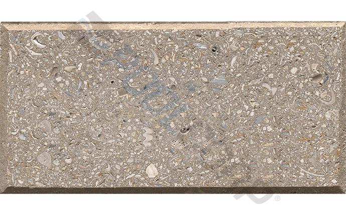 POOL360 | 4" x 8" Shellock® Paver Brick Cafe