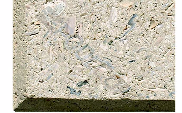 POOL360 | 8" x 12" Shellock® Paver Tan