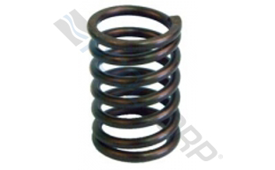 POOL360 | ENGINE VALVE SPRING