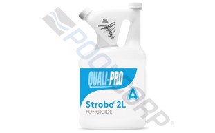 POOL360 | QUALI-PRO GAL STROBE 2L FUNGICIDE