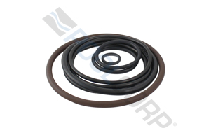 POOL360 | O-Ring Kit for Nature2® Fusion Soft Mineral Sanitizer
