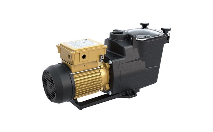 POOL360 | Super Pump® 700 1.5HP EXPORT ONLY