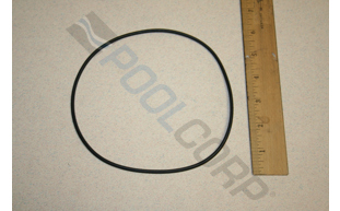 POOL360 | PowerFlo LX Pump Housing O-Ring
