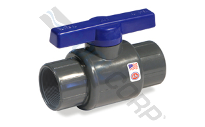 POOL360 | 2" Lo-Torq Ball Valve Threaded