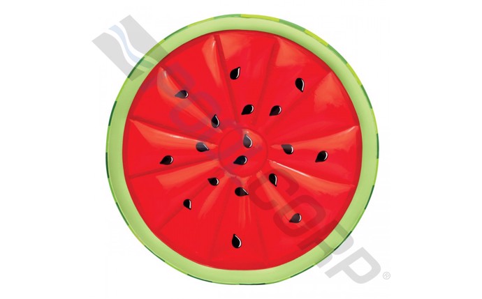 POOL360 | Watermelon Float