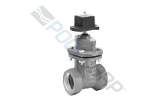 POOL360 | 2" Threaded Cast Iron Resilient Wedge Gate Valve with ...