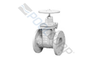 POOL360 | 6" Flanged Cast Iron Gate Valve RW NRS