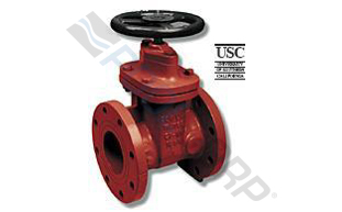 POOL360 | 6" Cast Iron Gate Valve Flanged with Operating Nut