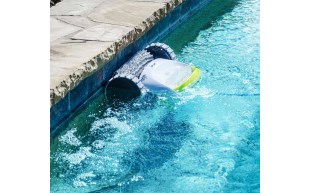 POOL360 | Dolphin T35 Robotic Wall & Floor Pool Cleaner