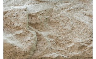 POOL360 | 5.5" x 4' x 2'4" Rosetta Irregular Step Cedar Valley Blend