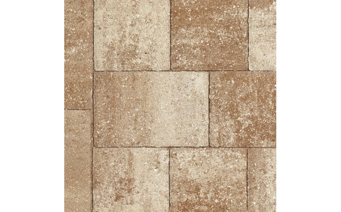 POOL360 | 6" x 9" 60mm Appian Stone Paver Amaretto