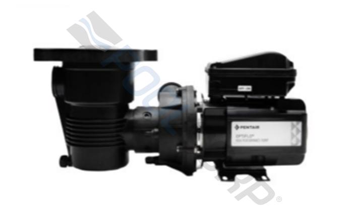 POOL360 | Sta-Rite OptiFlo® Aboveground Pool Pump .75HP 230V 50Hz ...