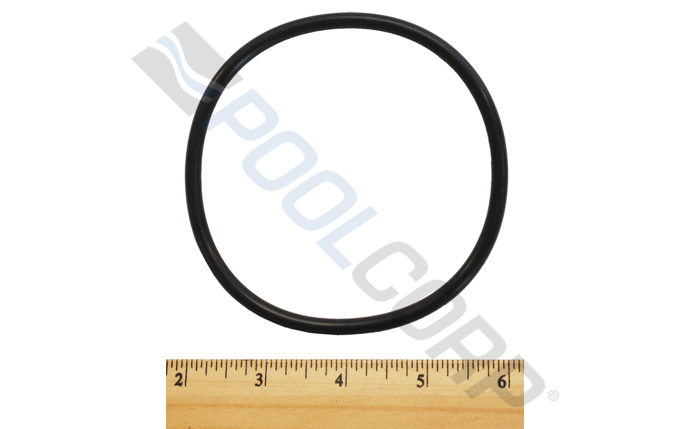 POOL360 | Viton Chemical Feeder Lid O-Ring