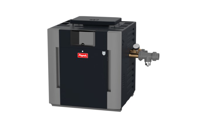 POOL360 | Raypak 207A Low NOx Digital Heater #26 with Bronze Headers