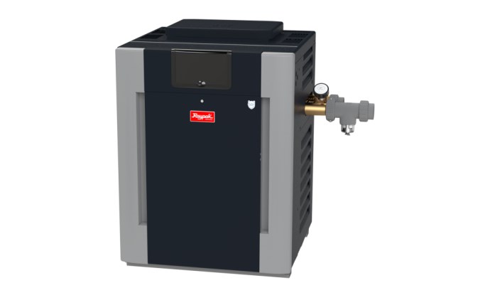 POOL360 | Raypak 266A Digital Natural Gas ASME Pool and Spa Heater 266K BTU
