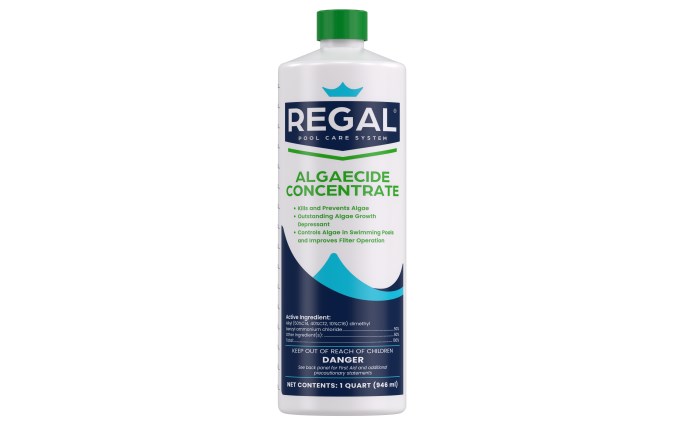 POOL360 | 1 qt Algaecide Concentrate Bottle