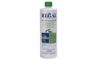 POOL360 | 1 qt 90-Day Algaecide Bottle