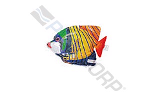 POOL360 | 24/CS TURBO TROPICAL FISH EA