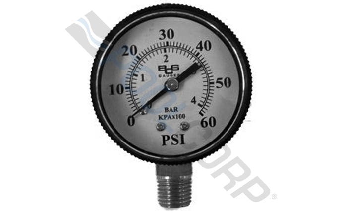 POOL360 | 2" Steel Pressure Gauge 0.125" 0-60 PSI Back Mount