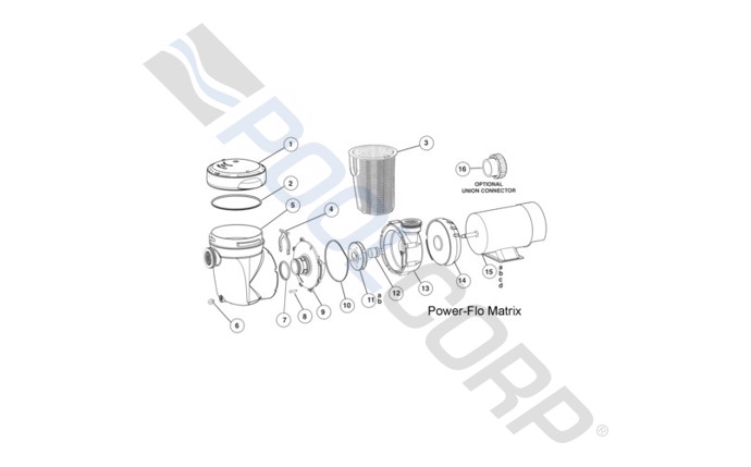 POOL360 | Gasket F/Plug Pipe Drain 10 Pack