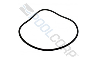 POOL360 | O-Ring for PF-100 16" Tank