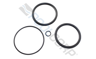 POOL360 | Hayward 2" Piston O-Ring Kit for Valve