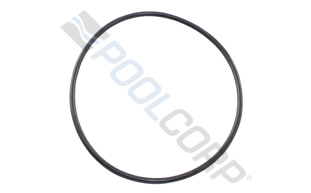 POOL360 | Jandy Energy Filter Bowl O-Ring