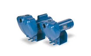 POOL360 | Sta-Rite DS3 Series Pro-Storm™ Medium Head Centrifugal Pump 1 ...