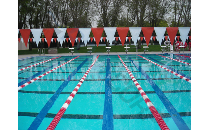 POOL360 | 12" x 18" Black Pennant